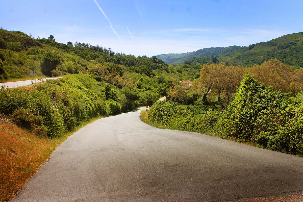 Explore Andrew Molera State Park in Big Sur | Hidden CA