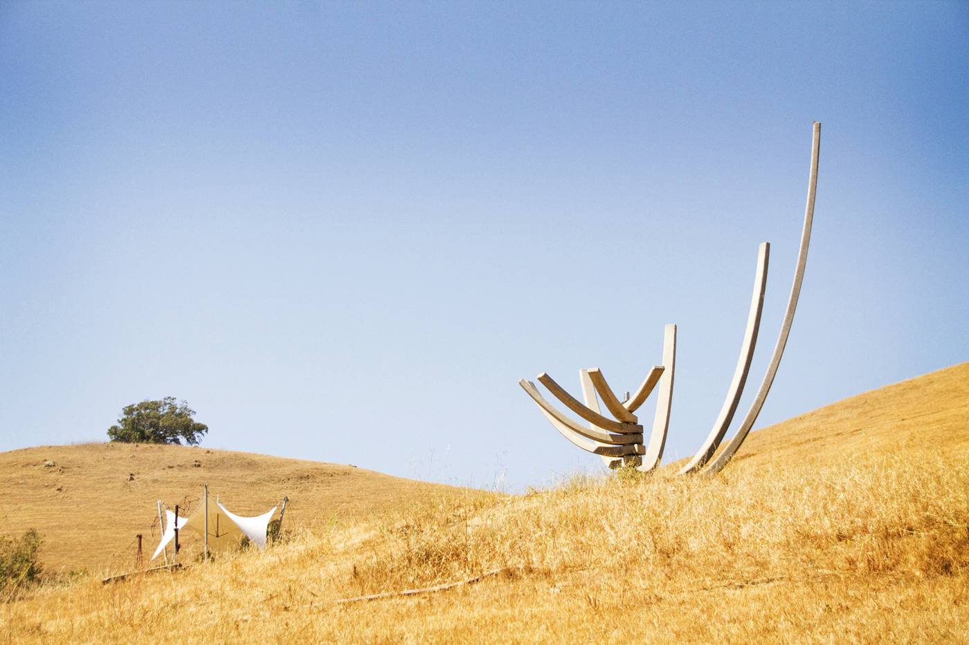 Hidden in the hills of Cal Poly lays an architectural graveyard free to ...