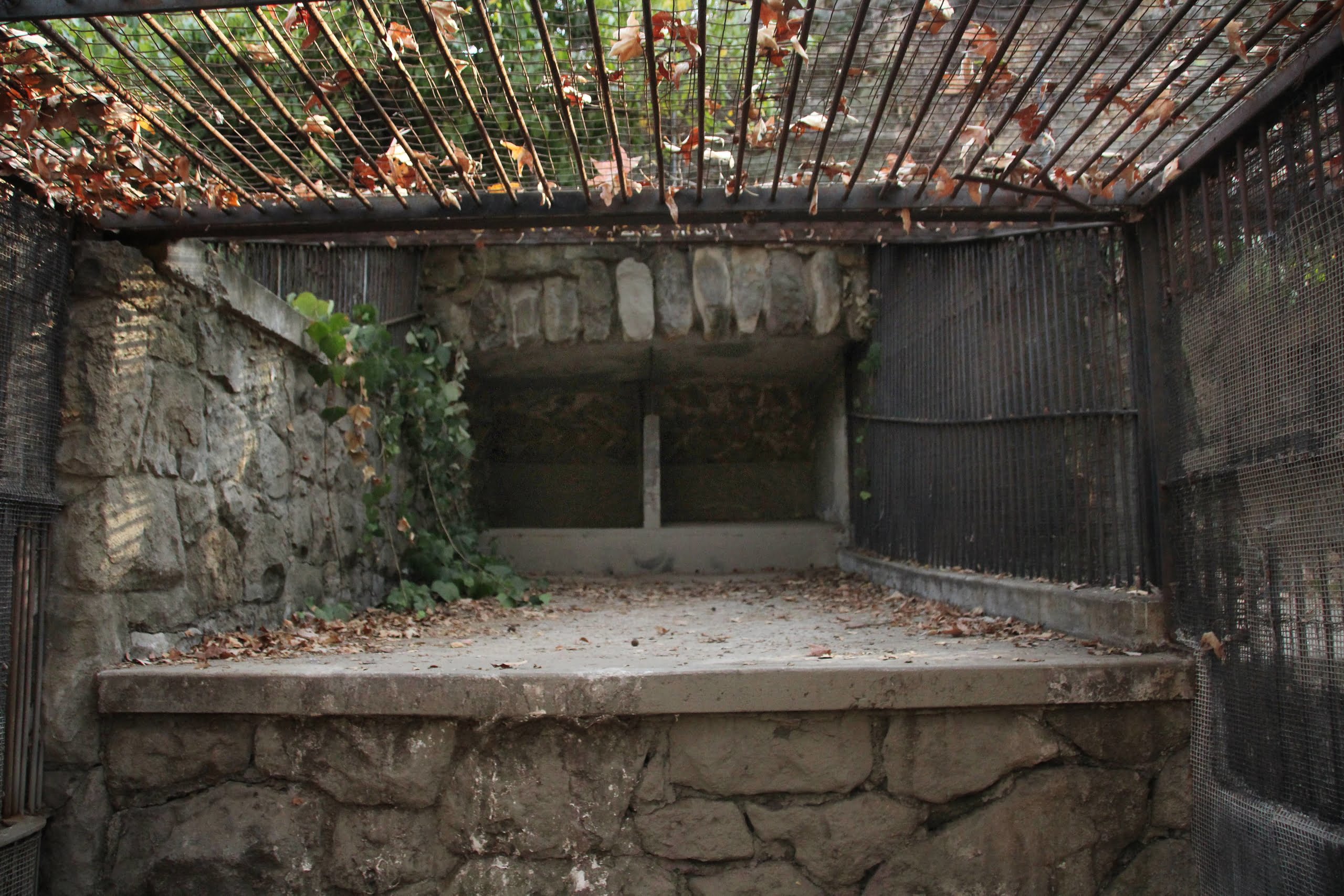 Visit the Old LA Zoo in Griffith Park Los Angeles