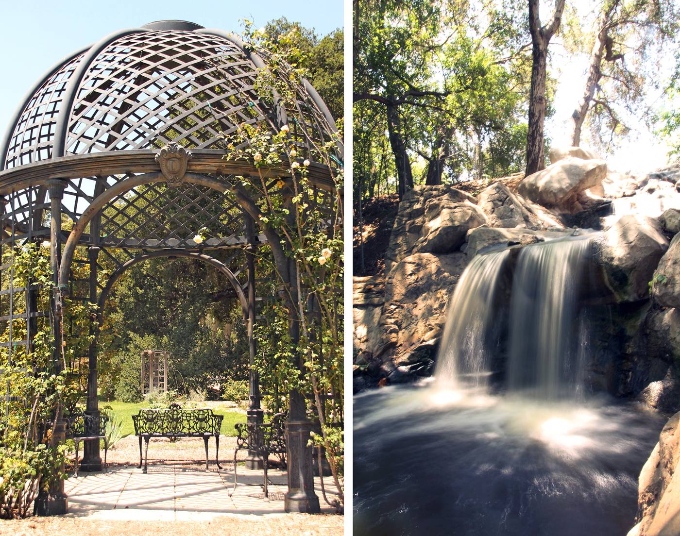 Visit the beautiful Descanso Gardens- Hidden CA