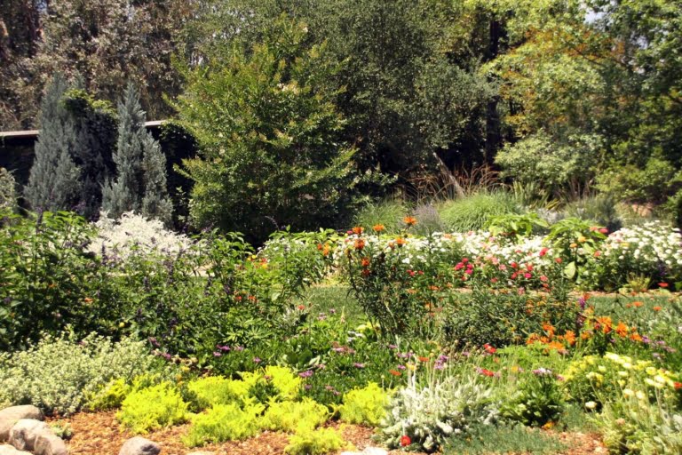 Visit the beautiful Descanso Gardens- Hidden CA