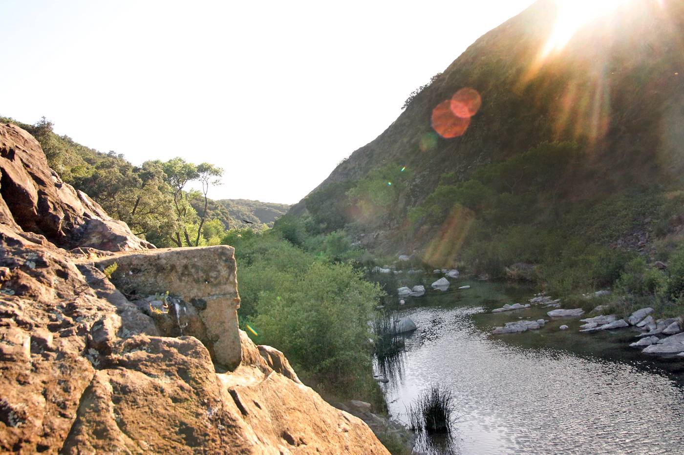 Visit Treasure Island Beach & Goff Cove in Laguna Beach