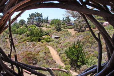 Glamp in luxury tents with ocean views at Treebones Resort