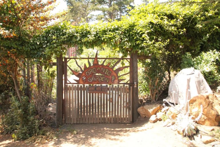 Glamp in luxury tents with ocean views at Treebones Resort