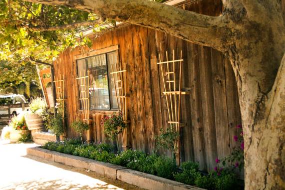 Take the Whole Family to Enjoy Avila Valley Barn!.