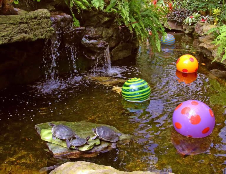 Sherman Library & Gardens - Hidden California