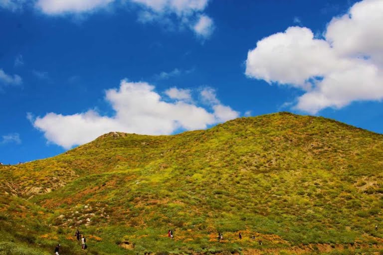 Visit the Superbloom at Walker Canyon, Riverside- Hidden CA