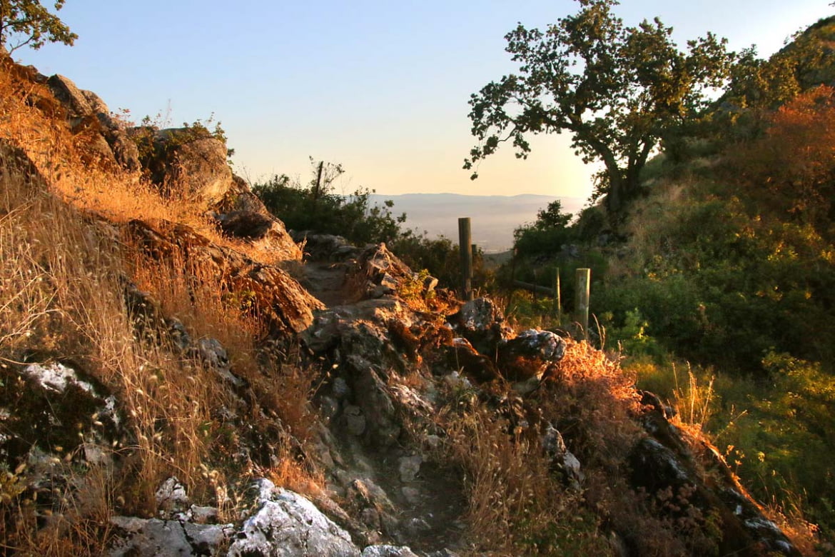 Hike to Fremont Peak in Santa Cruz- Hidden CA
