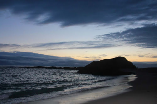 Visit Treasure Island Beach & Goff Cove in Laguna Beach