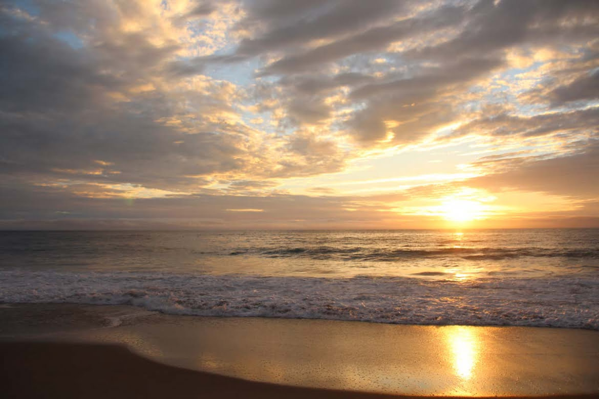Visit Treasure Island Beach & Goff Cove in Laguna Beach