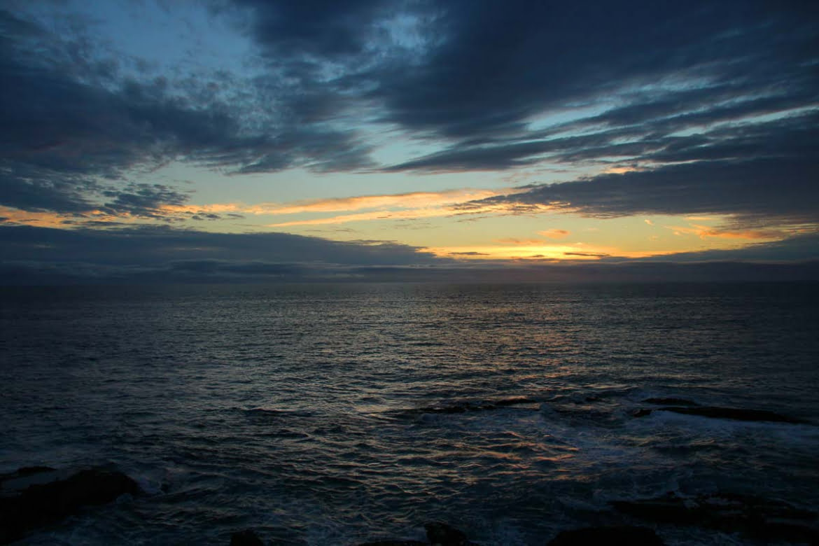 Visit Treasure Island Beach & Goff Cove in Laguna Beach