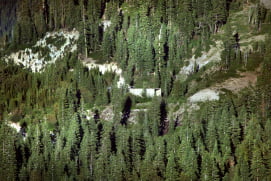 Donner Pass Summit Tunnel - Hidden California
