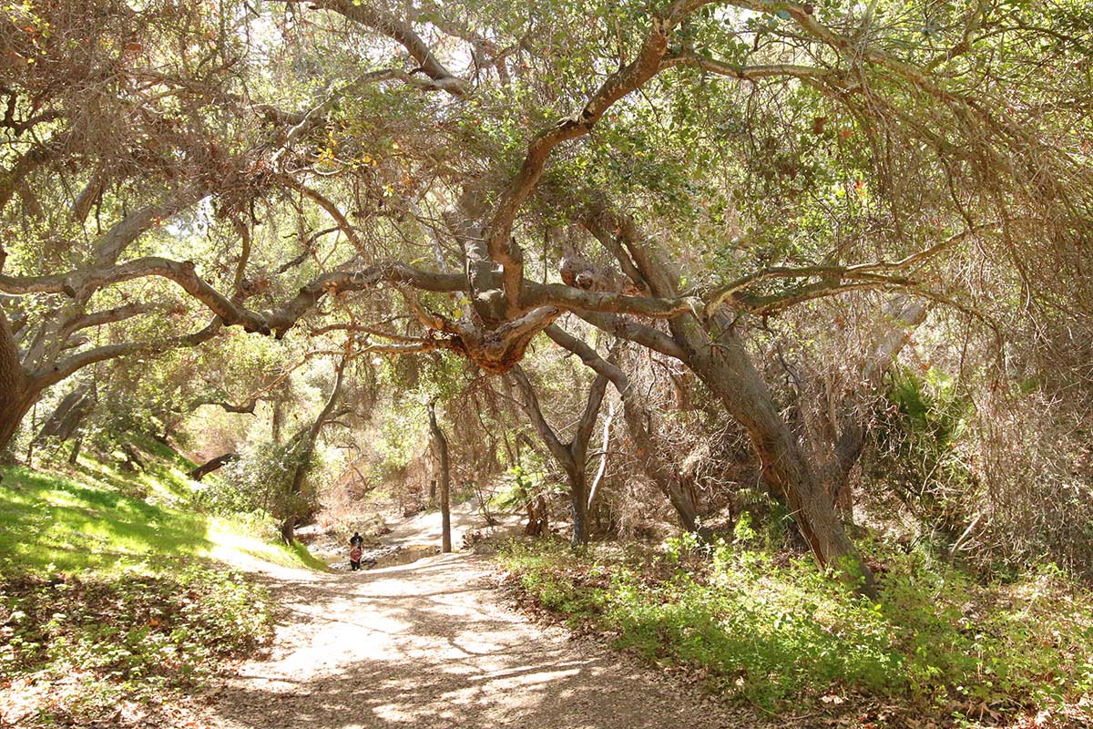 Walnut Creek Park - Hidden California