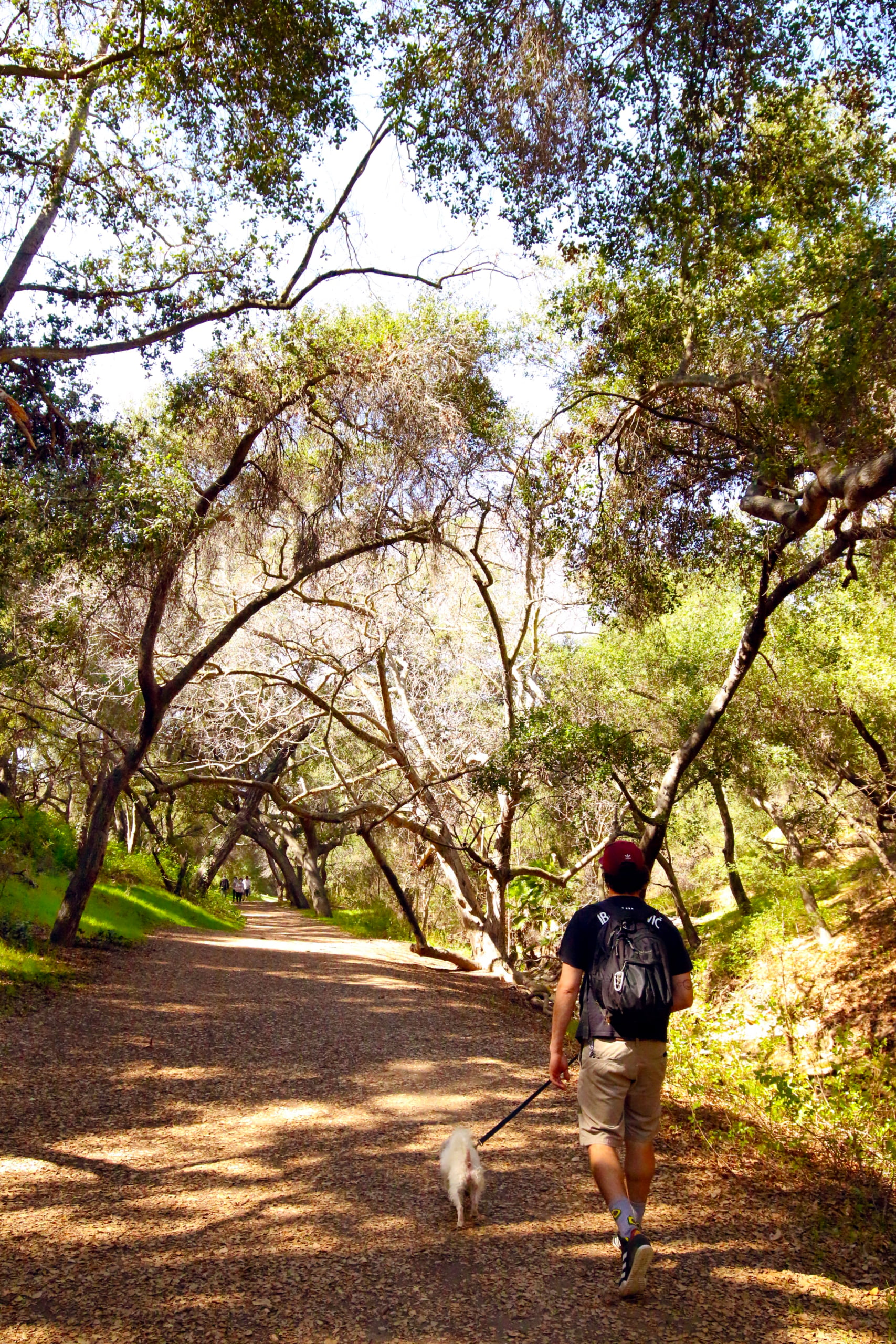 Walnut Creek Park - Hidden California