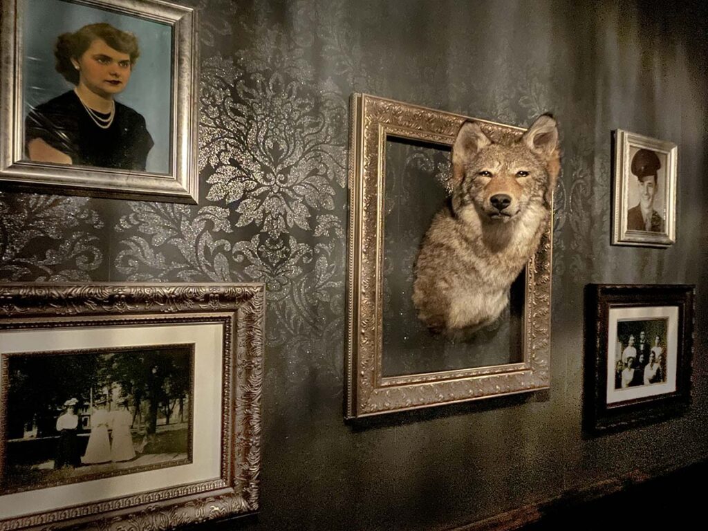 Apparition Room - Hidden California