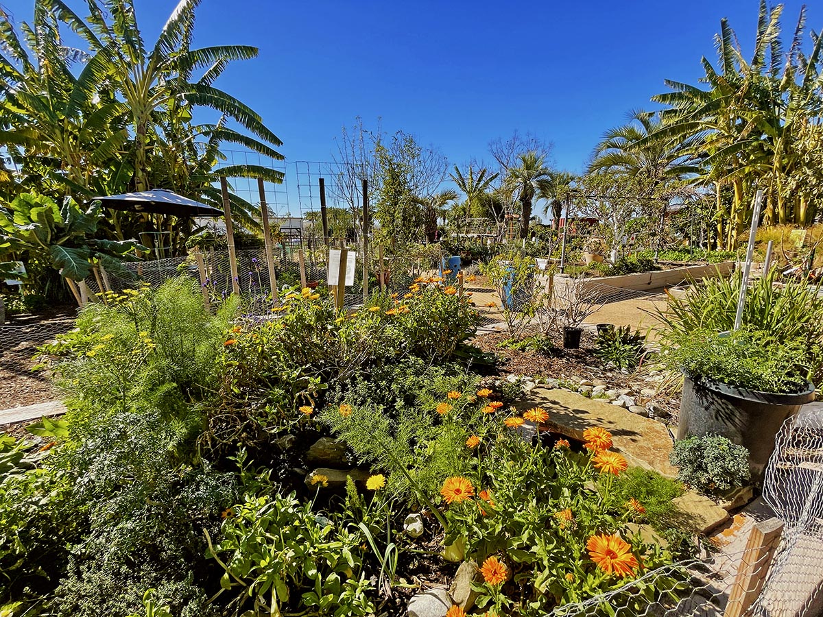 Great Park Farm + Food Lab - Hidden California