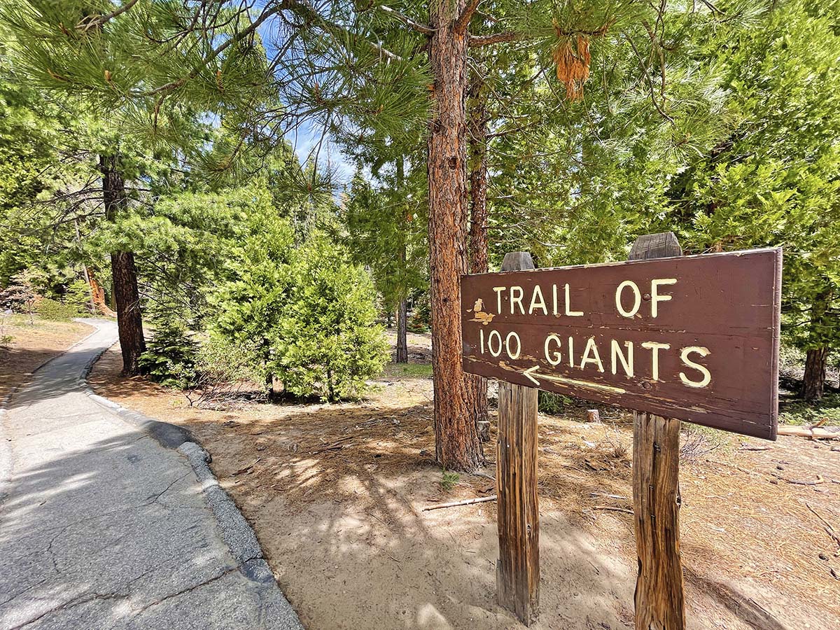 Trail of 100 Giants - Hidden California