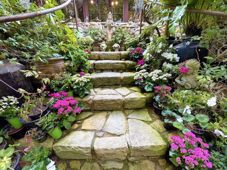 The Sacred Space - Hidden California