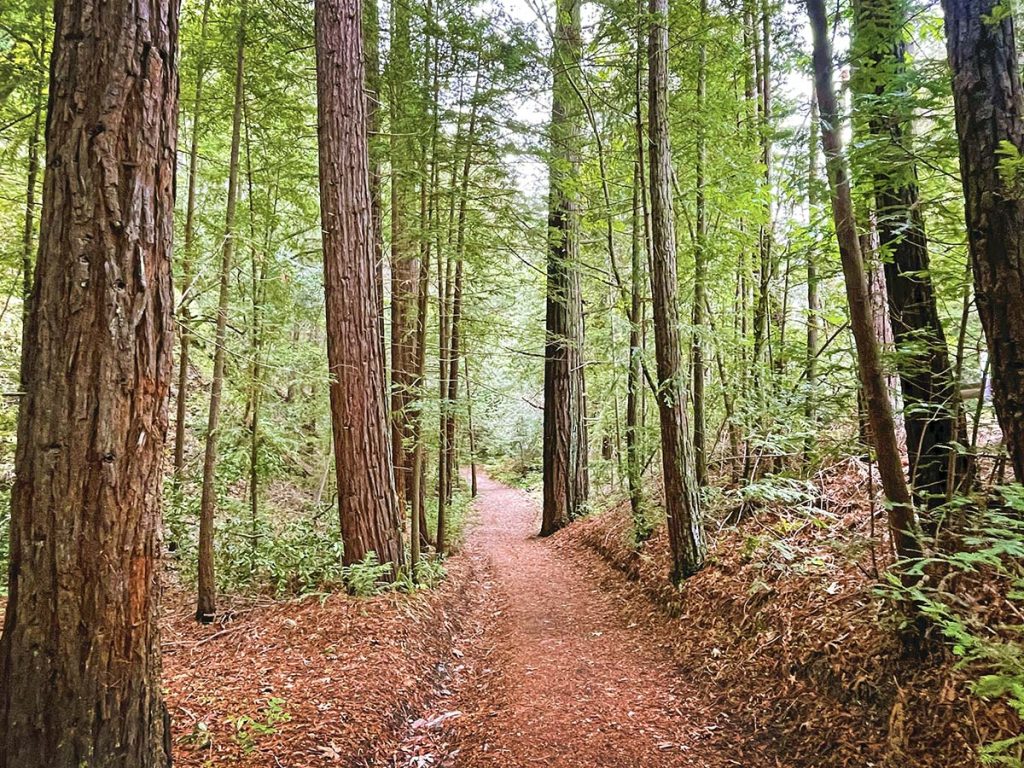 Buzzards Roost - Hidden California