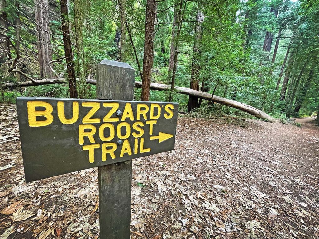 Buzzards Roost - Hidden California