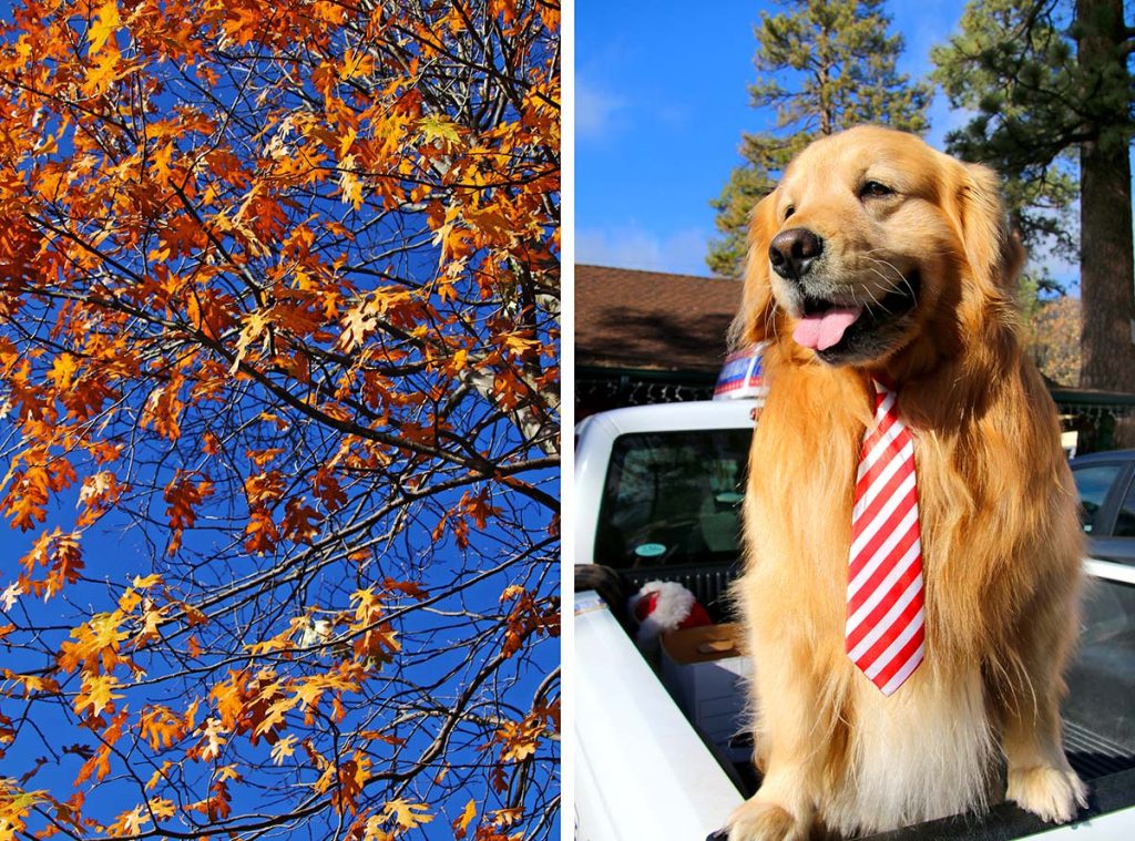 Visit Downtown Idyllwild - Hidden California