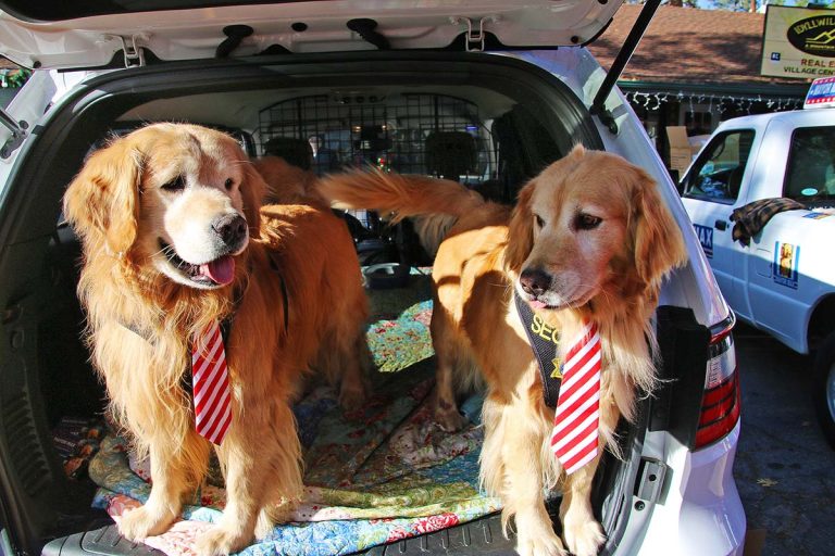 Visit Downtown Idyllwild - Hidden California