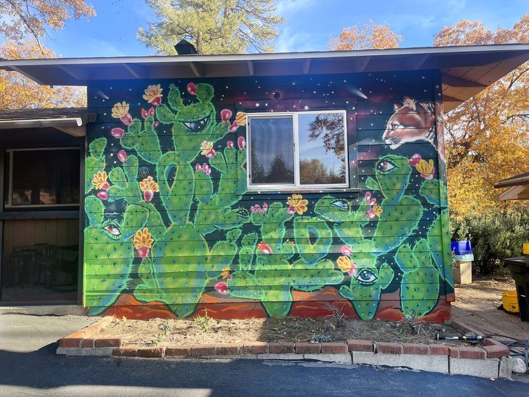 Visit Downtown Idyllwild - Hidden California