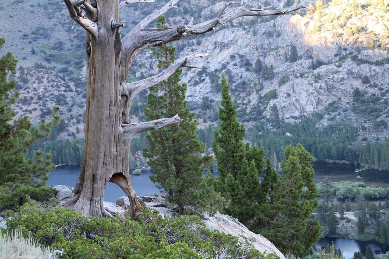 Rush Creek Trail to Horse Tail Falls - Hidden California