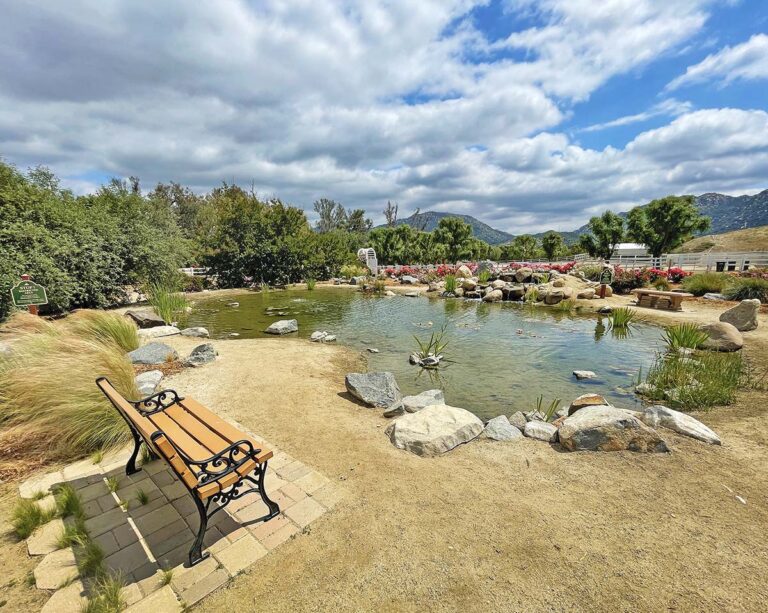 Rose Haven Heritage Garden - Hidden California