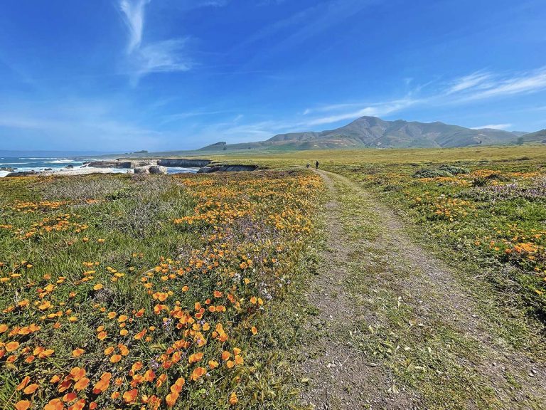 Point Buchon Trail - Hidden California