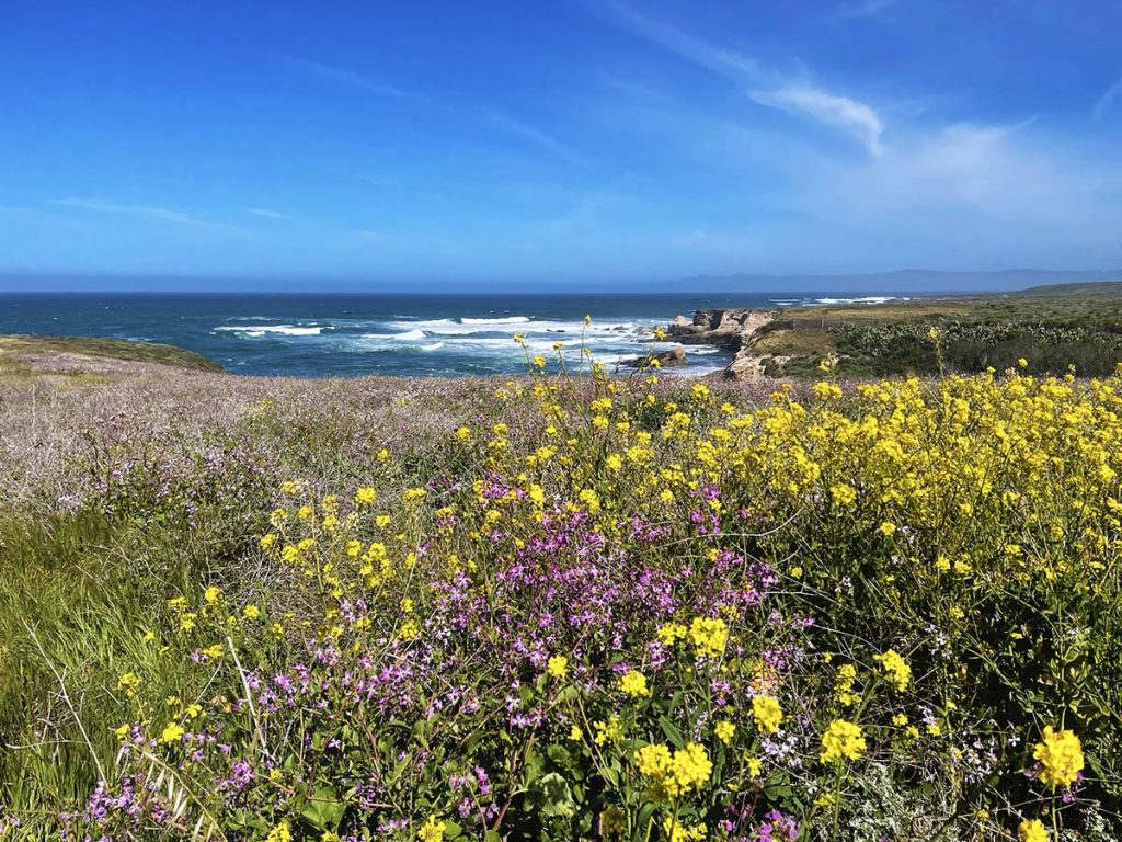 Point Buchon Trail - Hidden California