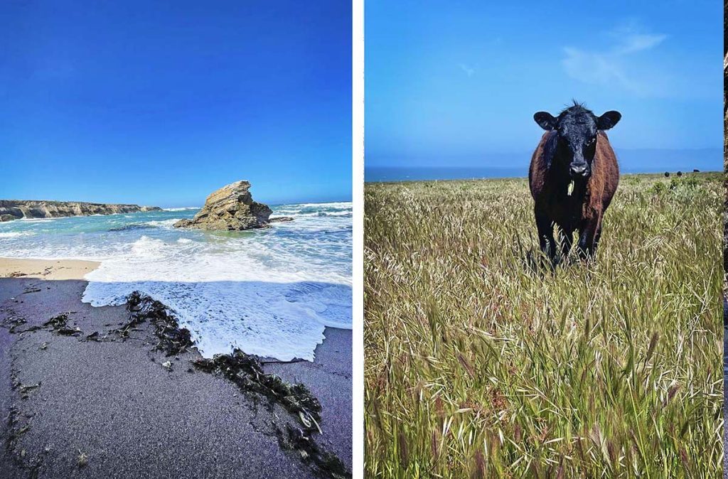 Point Buchon Trail - Hidden California