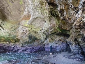 Point Buchon Trail - Hidden California