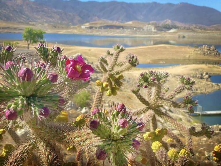 Nuui Cunni Interpretive Center - Hidden California