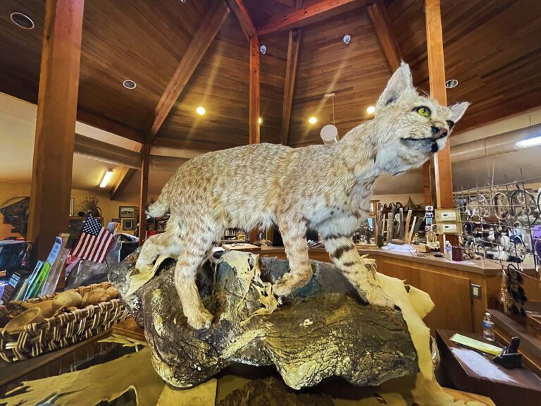 Nuui Cunni Interpretive Center - Hidden California