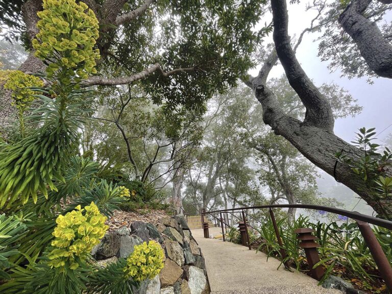 Café Kevah & Phoenix Shop - Hidden California