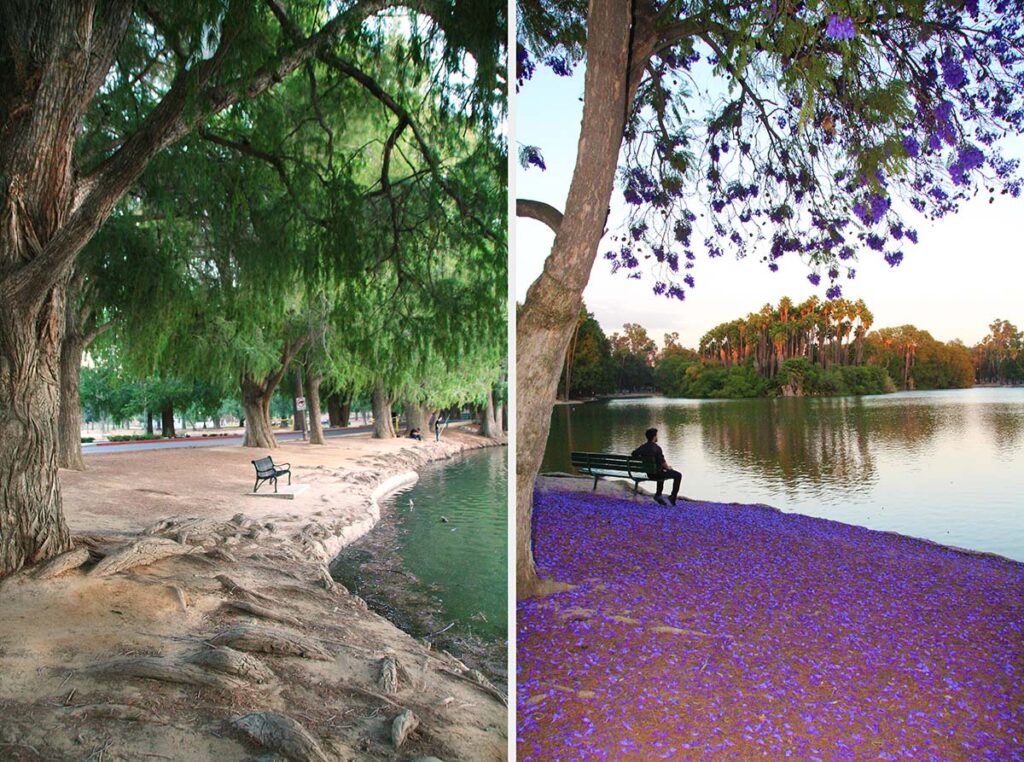 Fairmount Park - Hidden California