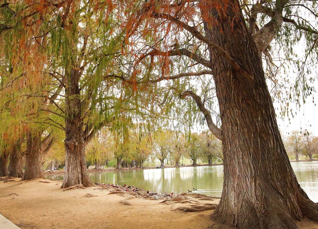 Fairmount Park - Hidden California