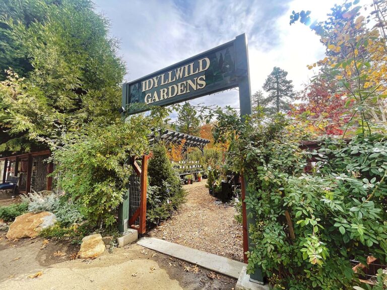 Idyllwild Gardens - Hidden California