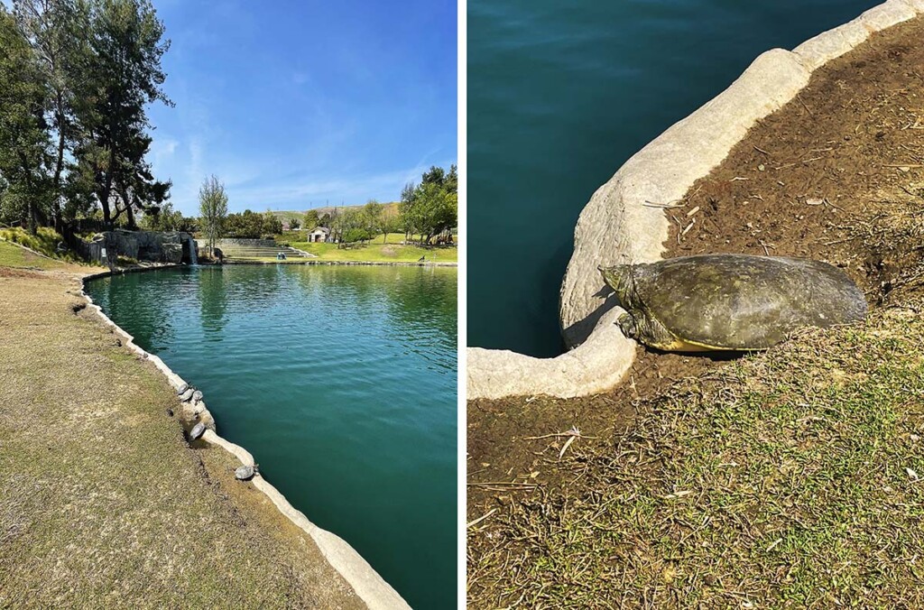 English Springs Park - Hidden California